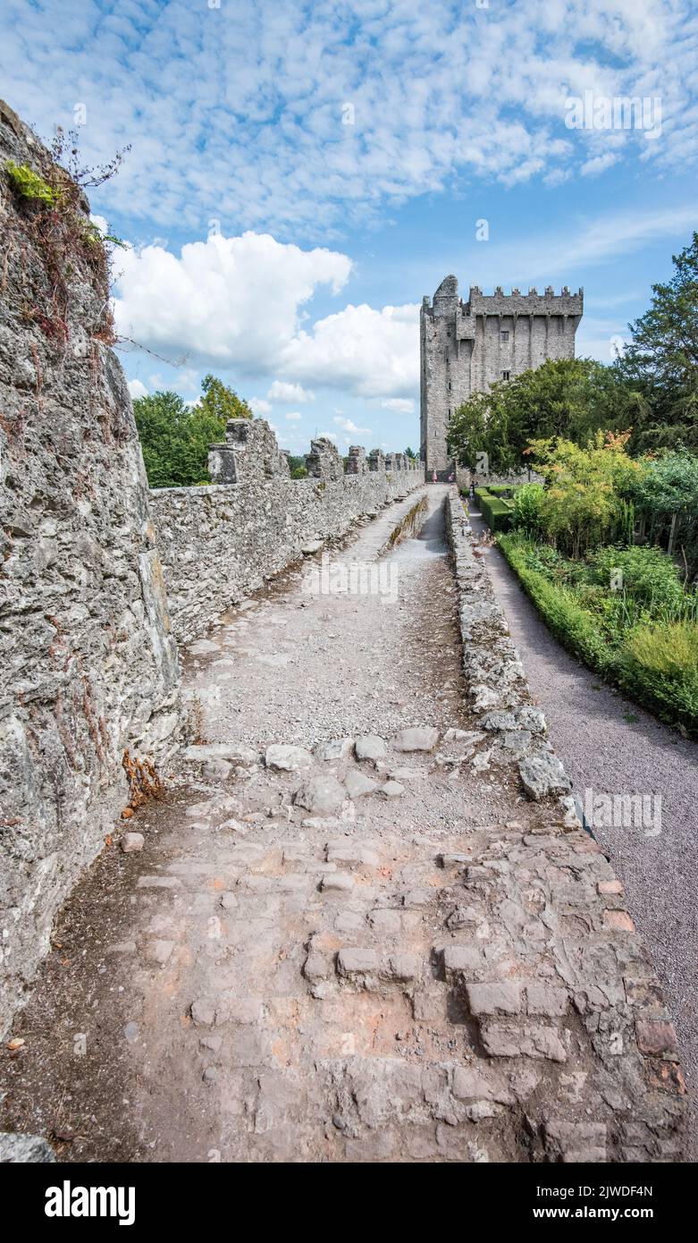 Home of the legendary blarney stone hi-res stock photography and images ...