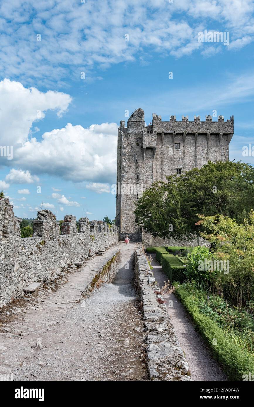 Home of the legendary blarney stone hi-res stock photography and images ...