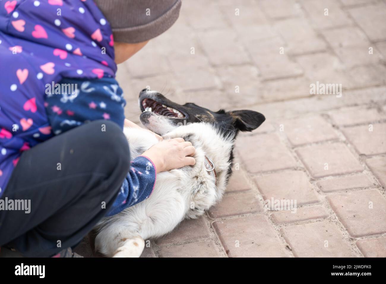 poor little girl with a dog in village Stock Photo - Alamy