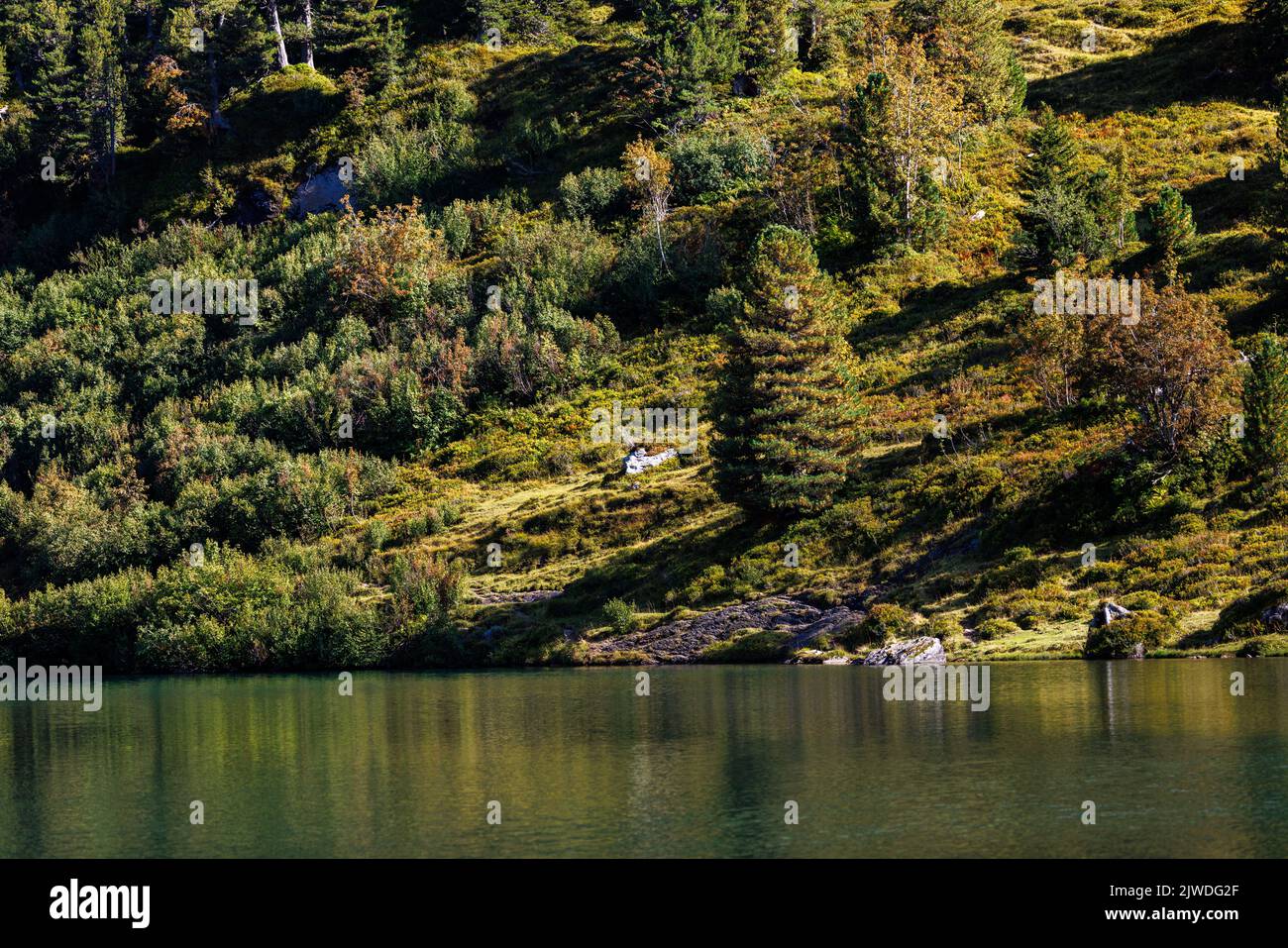Lake Engstlensee in the Bernese Highlands in late summer Stock Photo ...