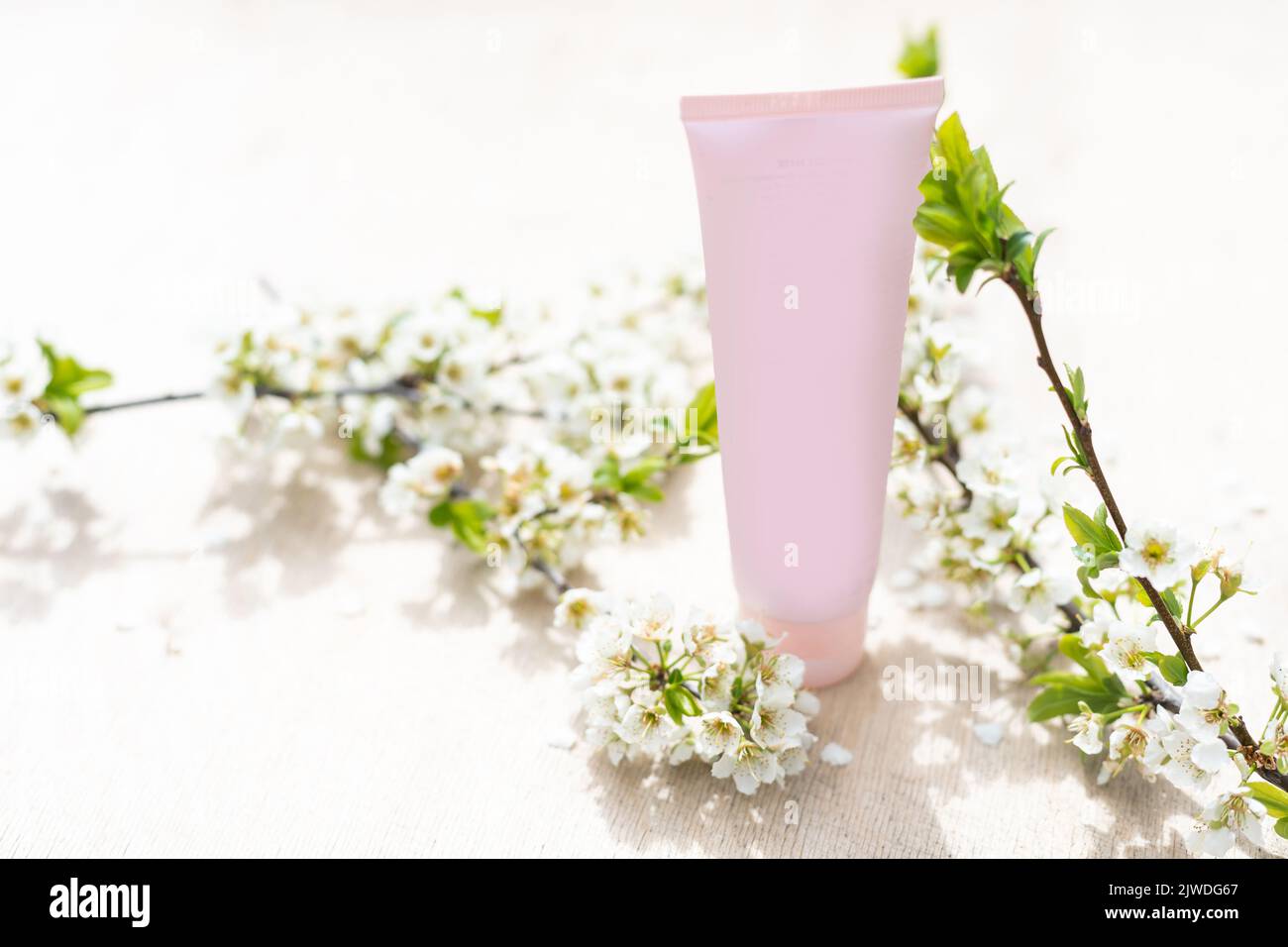 One white blank cosmetic tube bottle and flower, blooming branch on ...