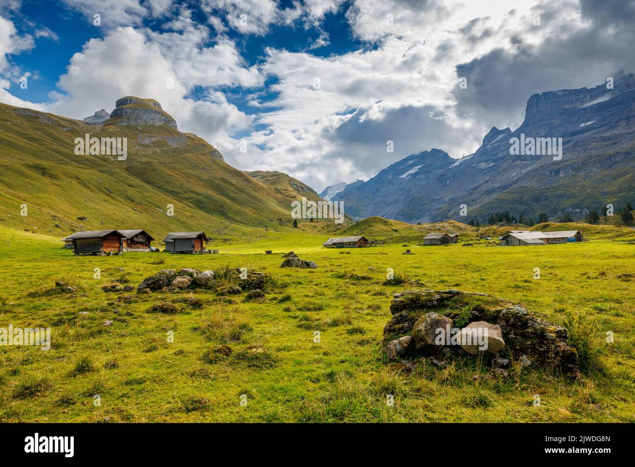 alpine huts on Engstlenalp in the Bernese Highlands Stock Photo - Alamy