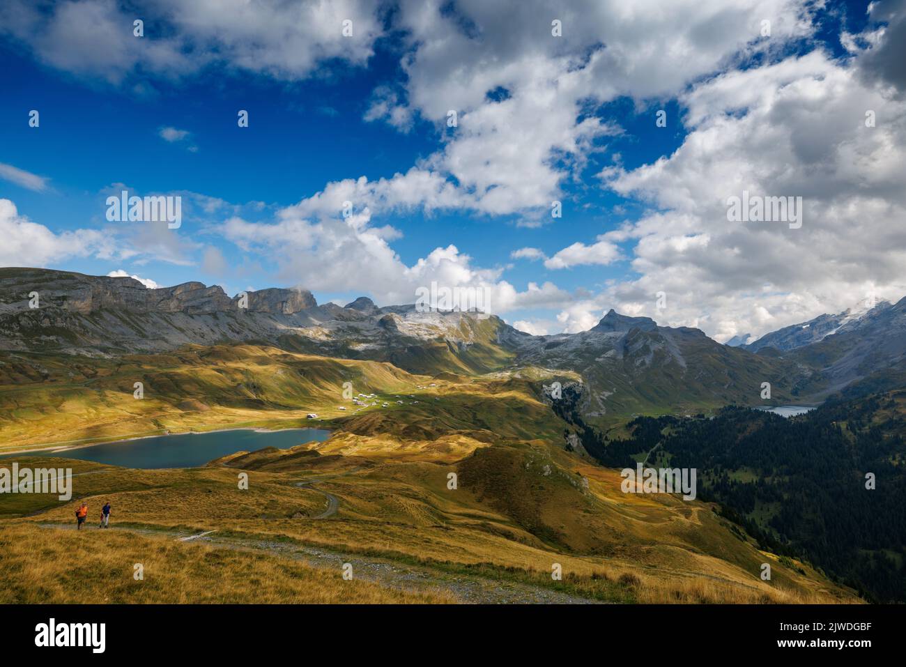 Engstlenalp switzerland hi-res stock photography and images - Alamy