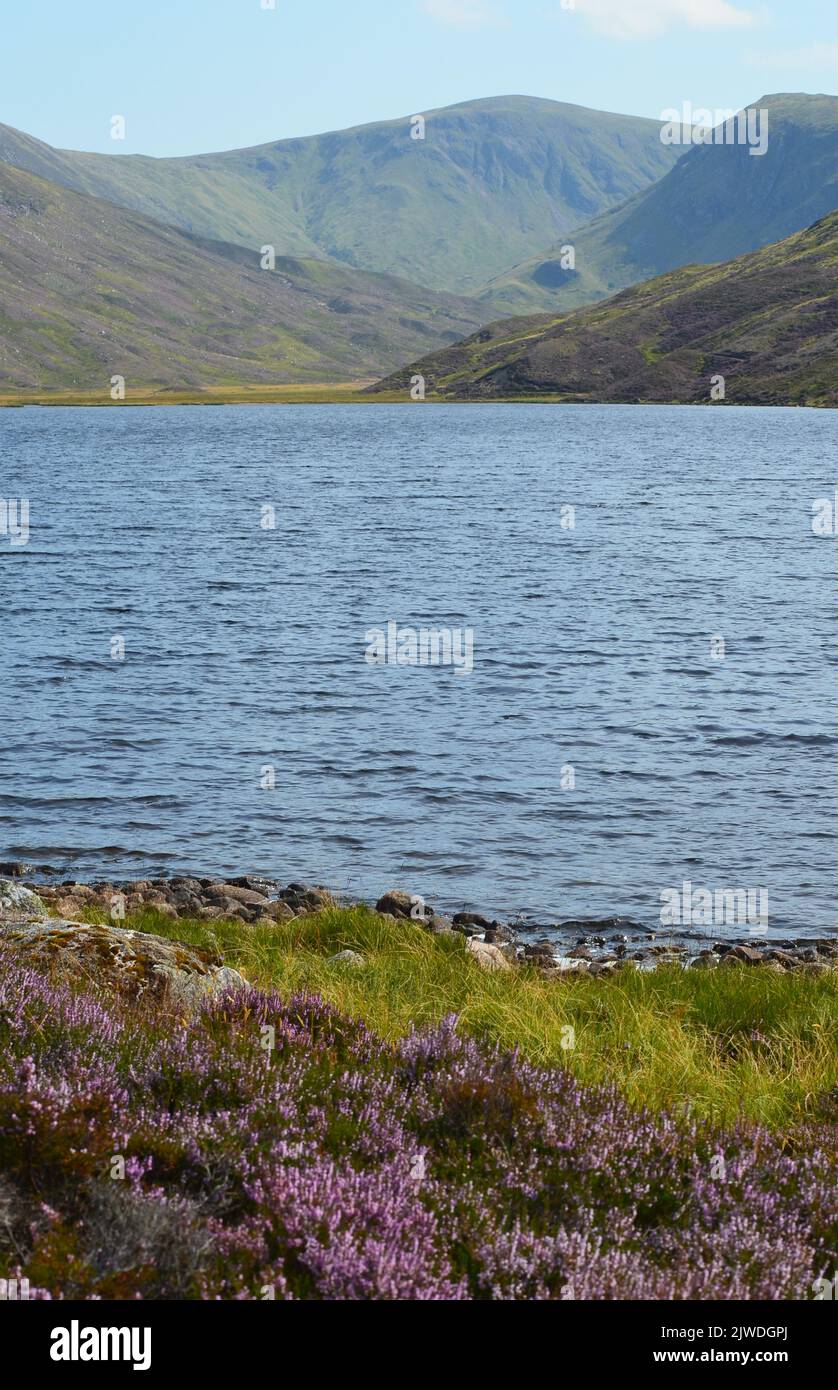 Loch Callater near Braemar, The Cairngorms national park, Scotland ...