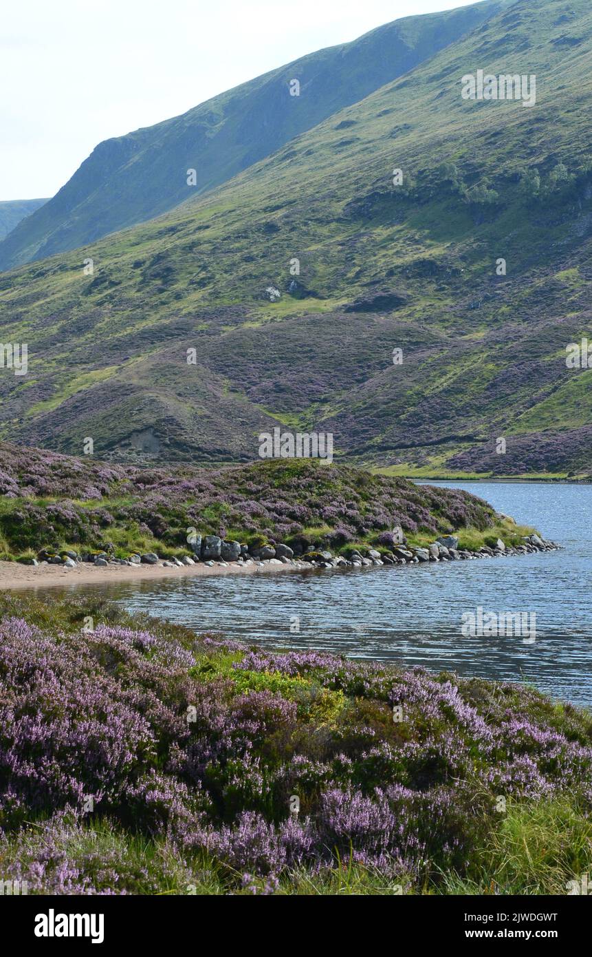 Loch Callater near Braemar, The Cairngorms national park, Scotland ...