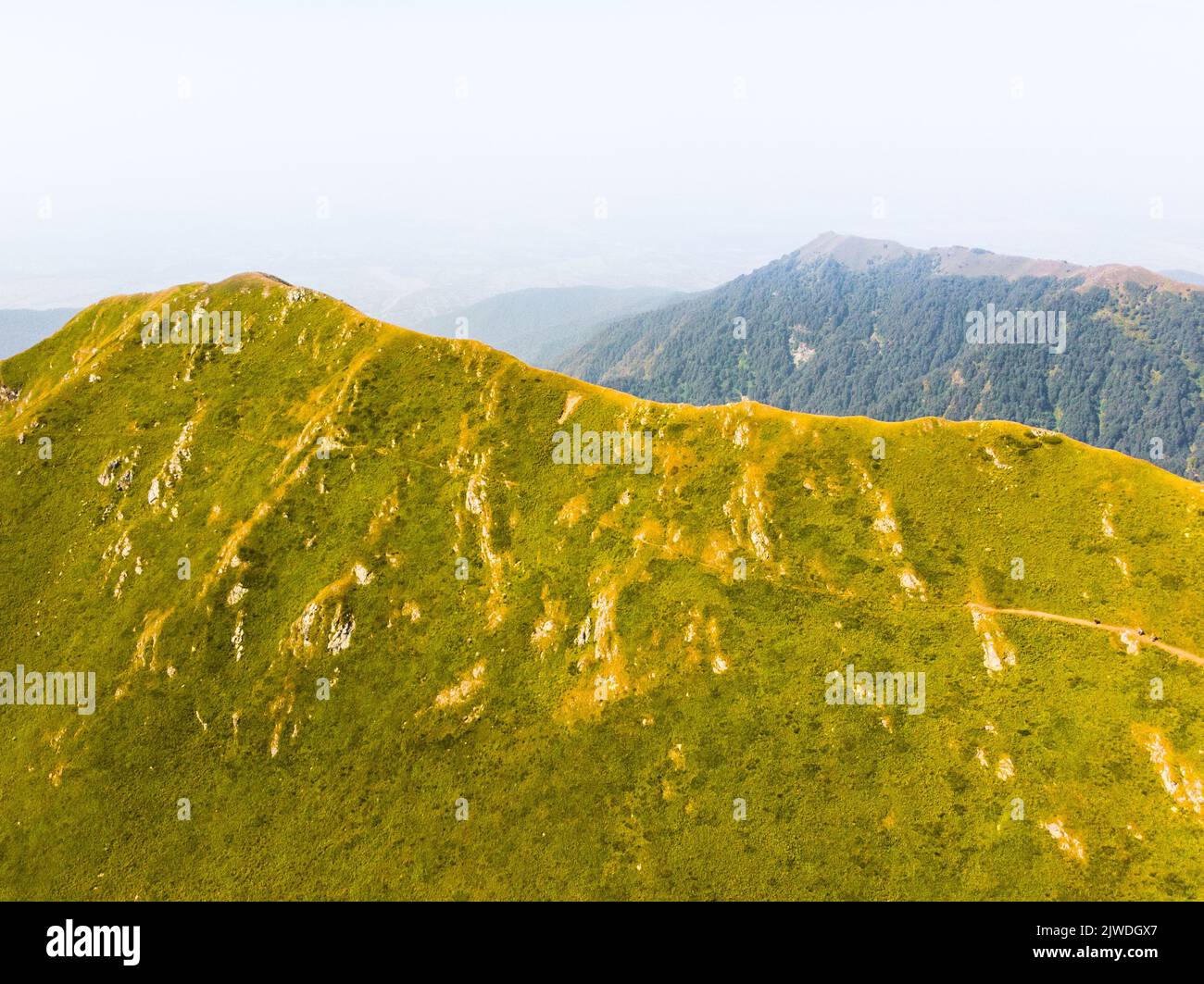 Panning aerial view group of four hikers hike on Lagodekhi national ...