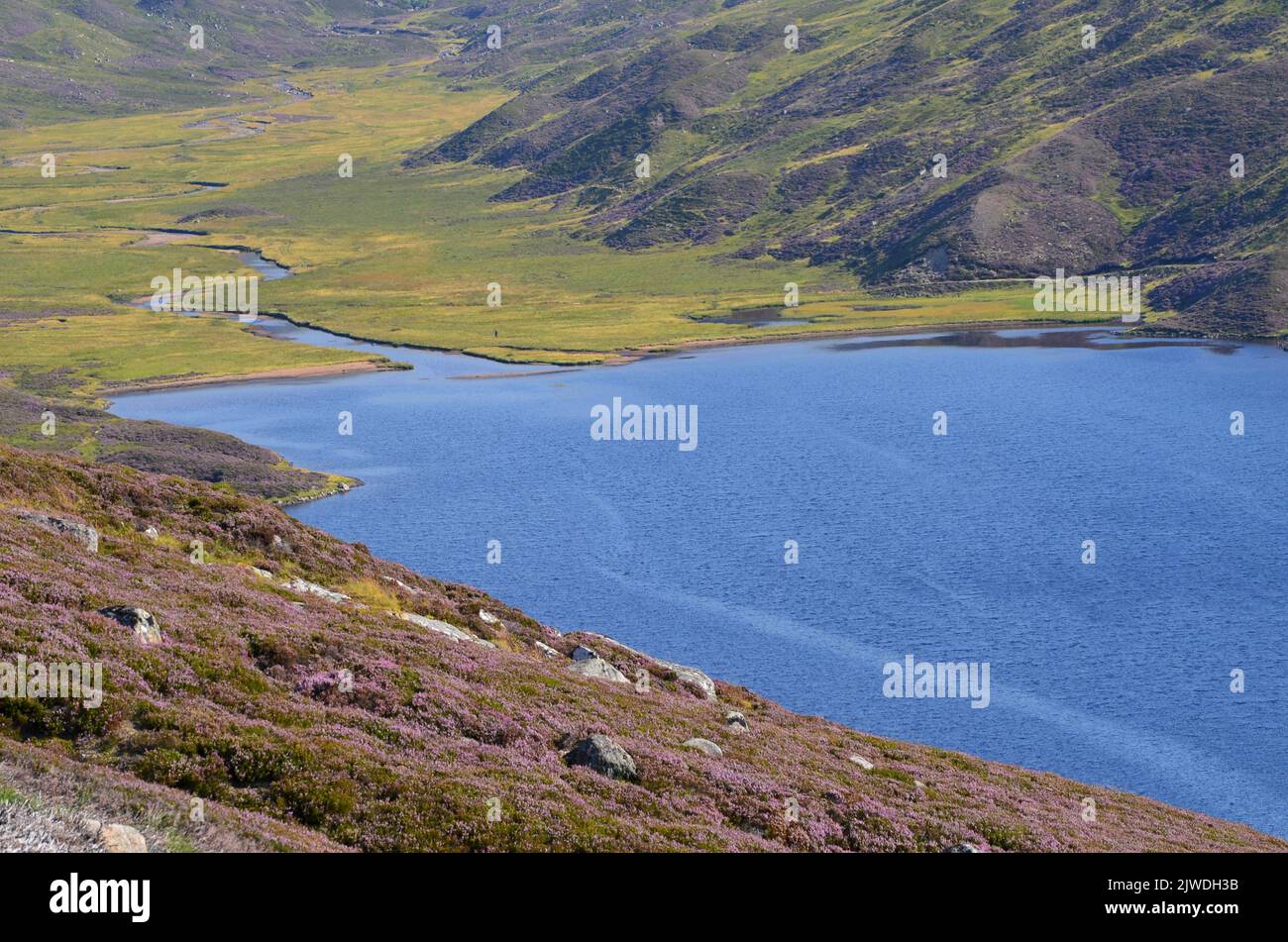 Loch Callater near Braemar, The Cairngorms national park, Scotland ...