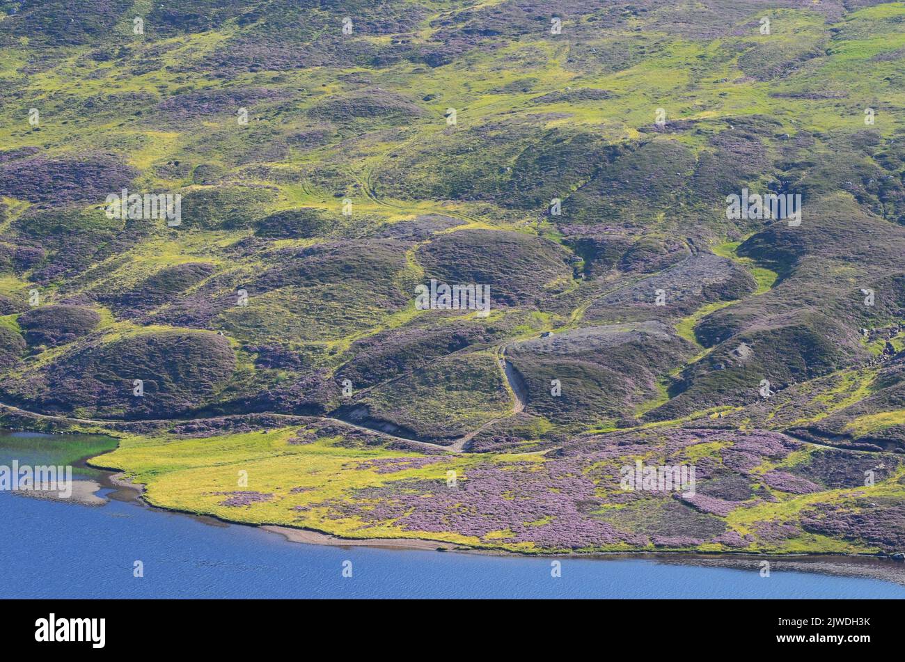 Loch Callater near Braemar, The Cairngorms national park, Scotland ...