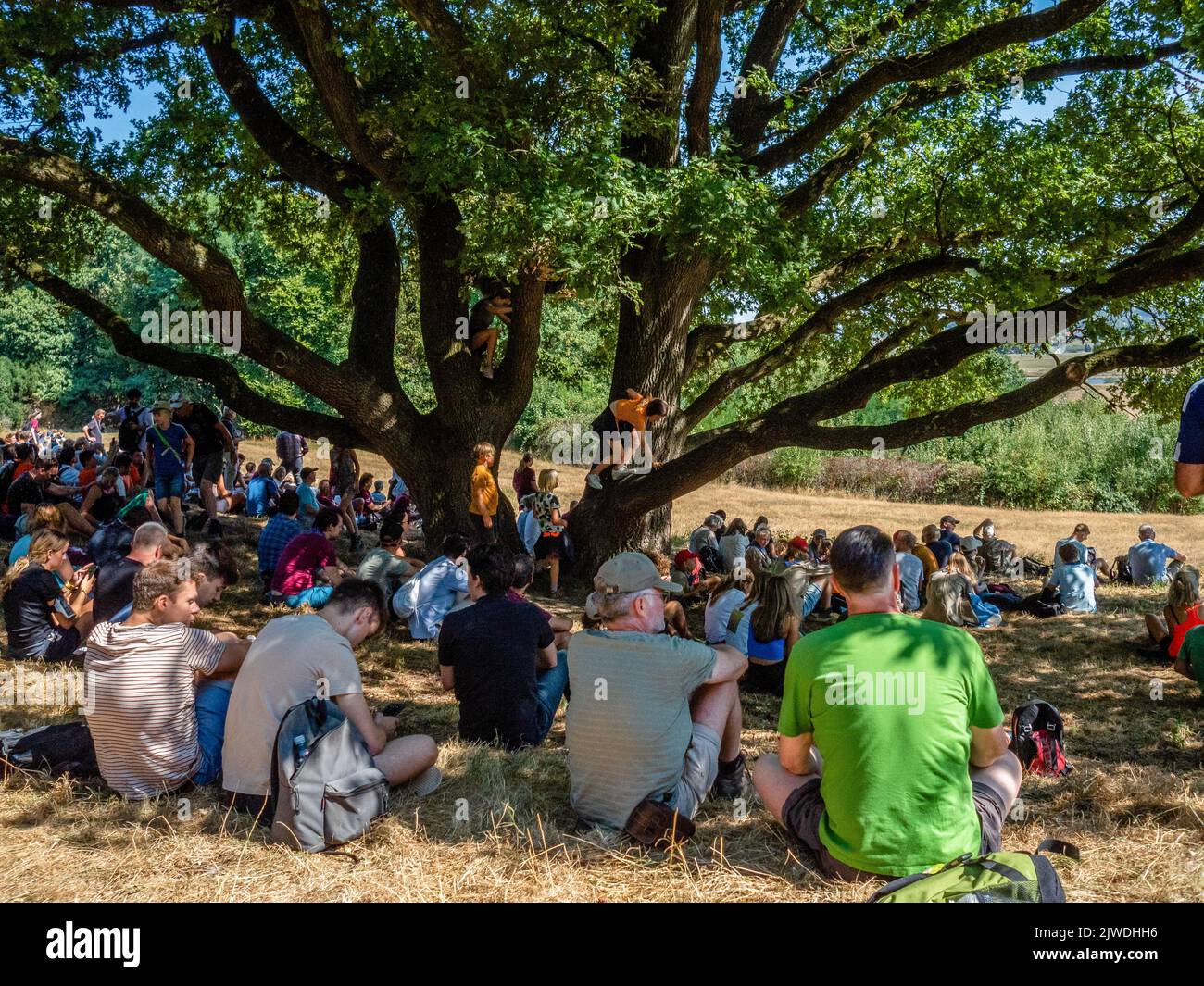 People are seen taking a break under a big tree on a dry field. The ...