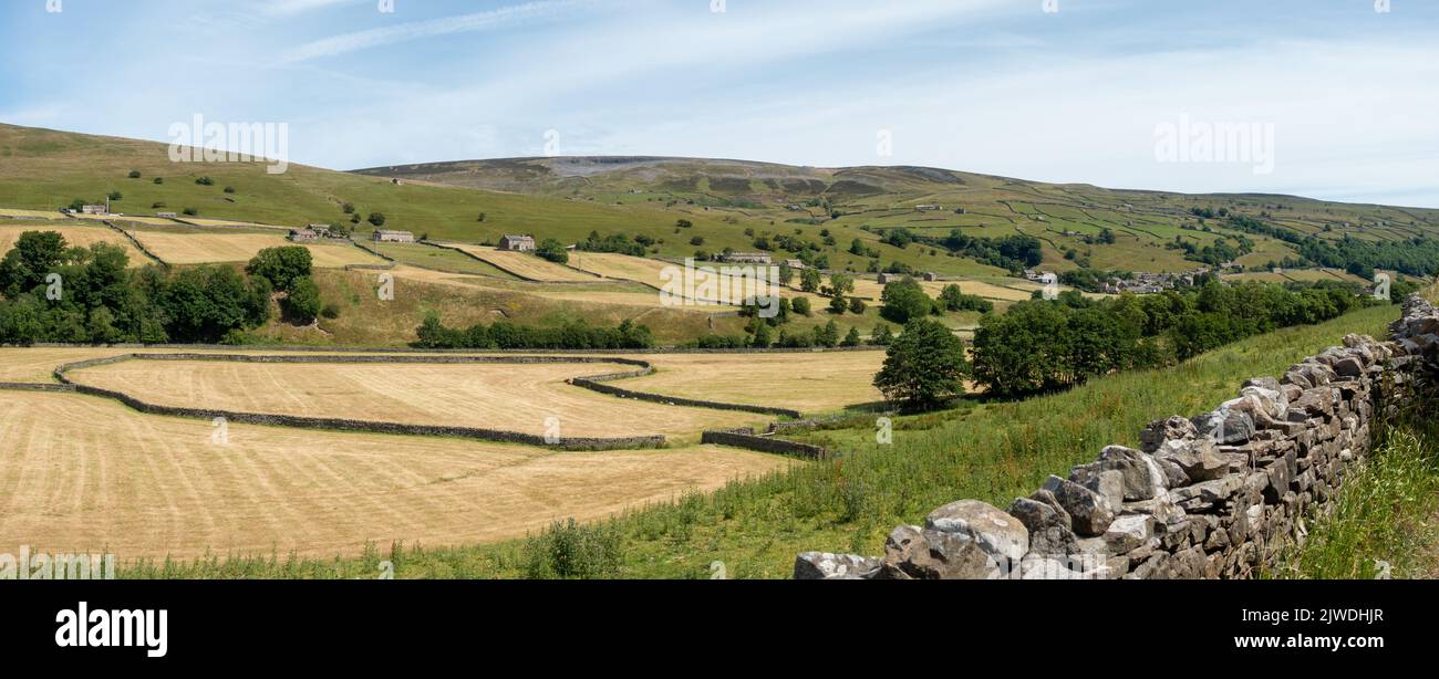 Views across mown fields in Swaledale to Gunnerside and Electric Gate ...