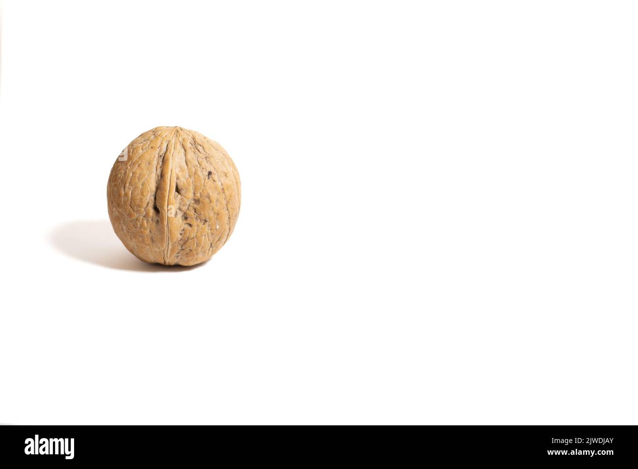 Walnut isolated on white background. Single unpeeled walnut. Horizontal ...