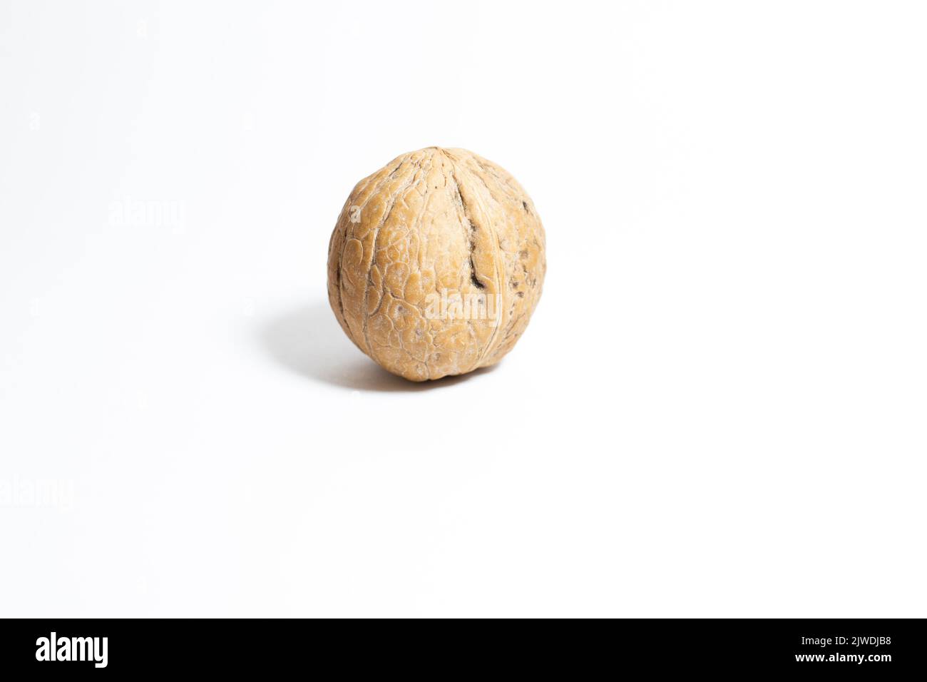 Walnut isolated on white background. Single unpeeled walnut. Nuts idea ...