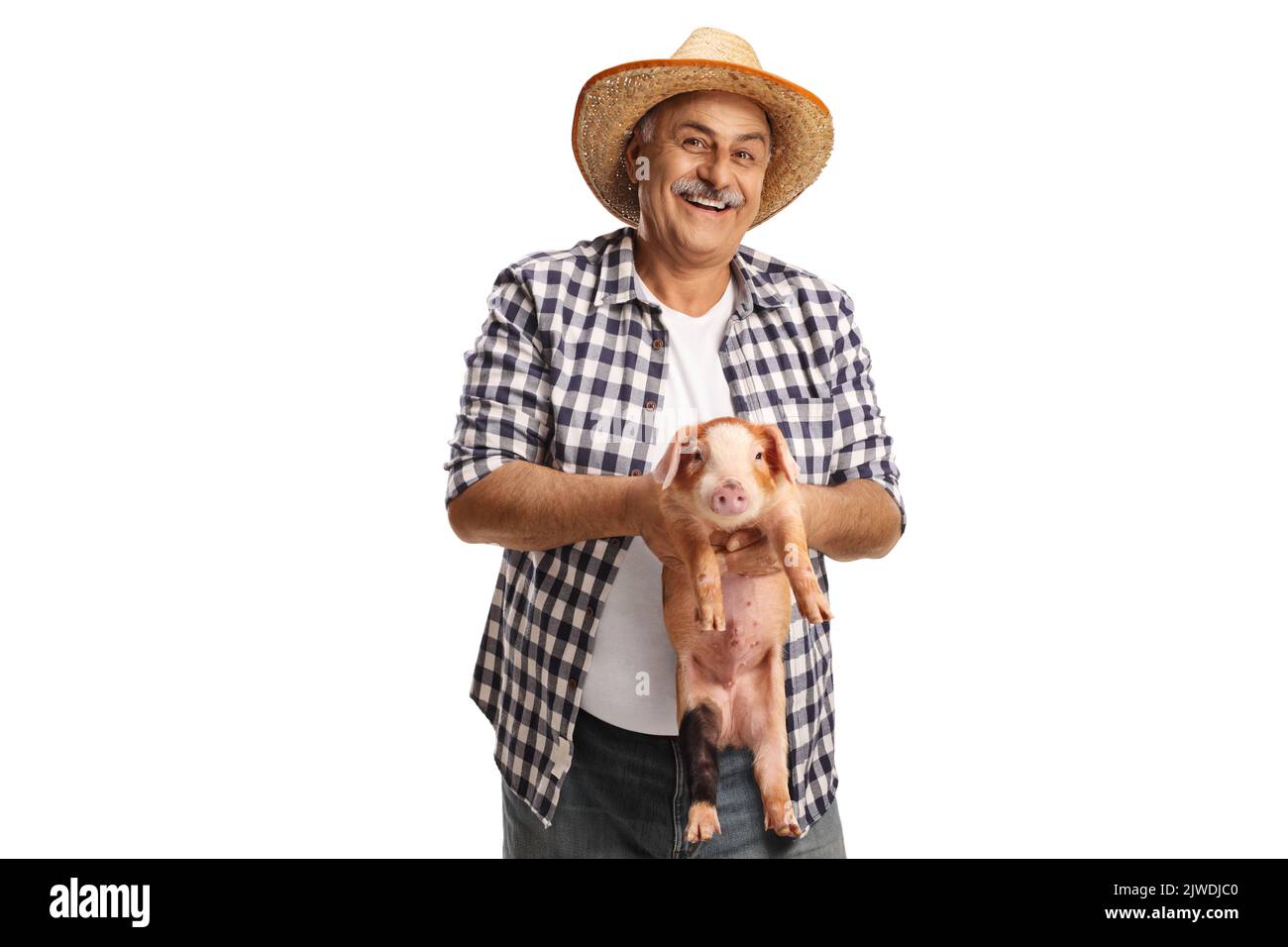 Mature farmer holding a small pig and smiling at camera isolated on ...