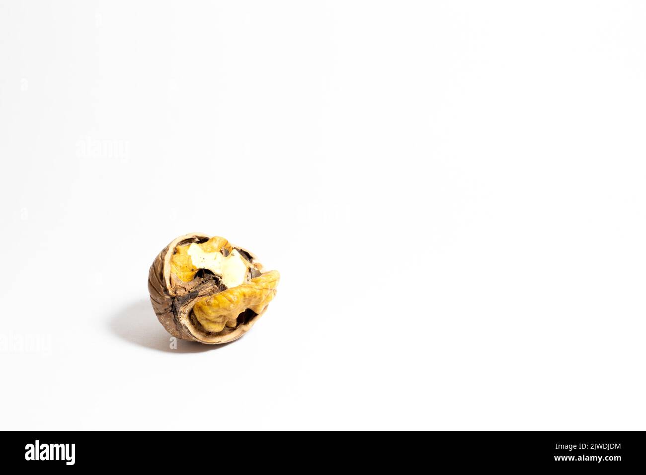 Walnut, half cracked walnut isolated on white background. Organic ...