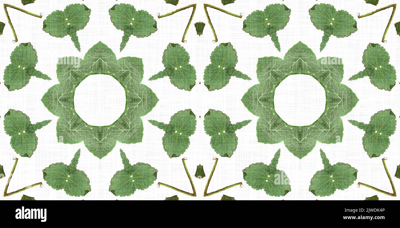 Foliage kaleidoscope seamless border pattern. Trendy optic fresh design ...