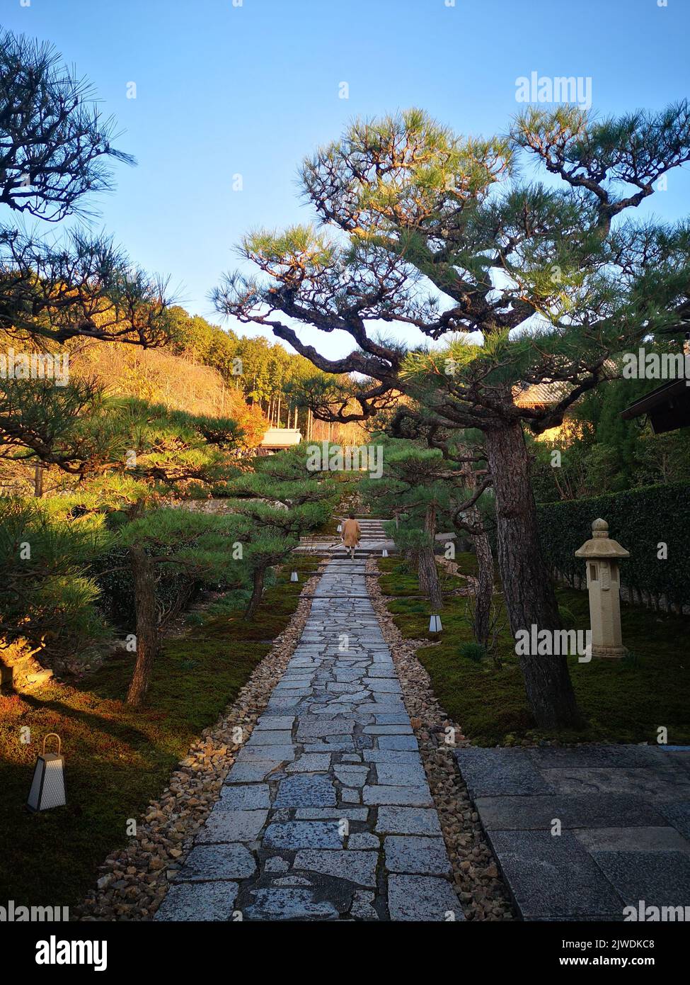 Monk japanese temple hi-res stock photography and images - Alamy