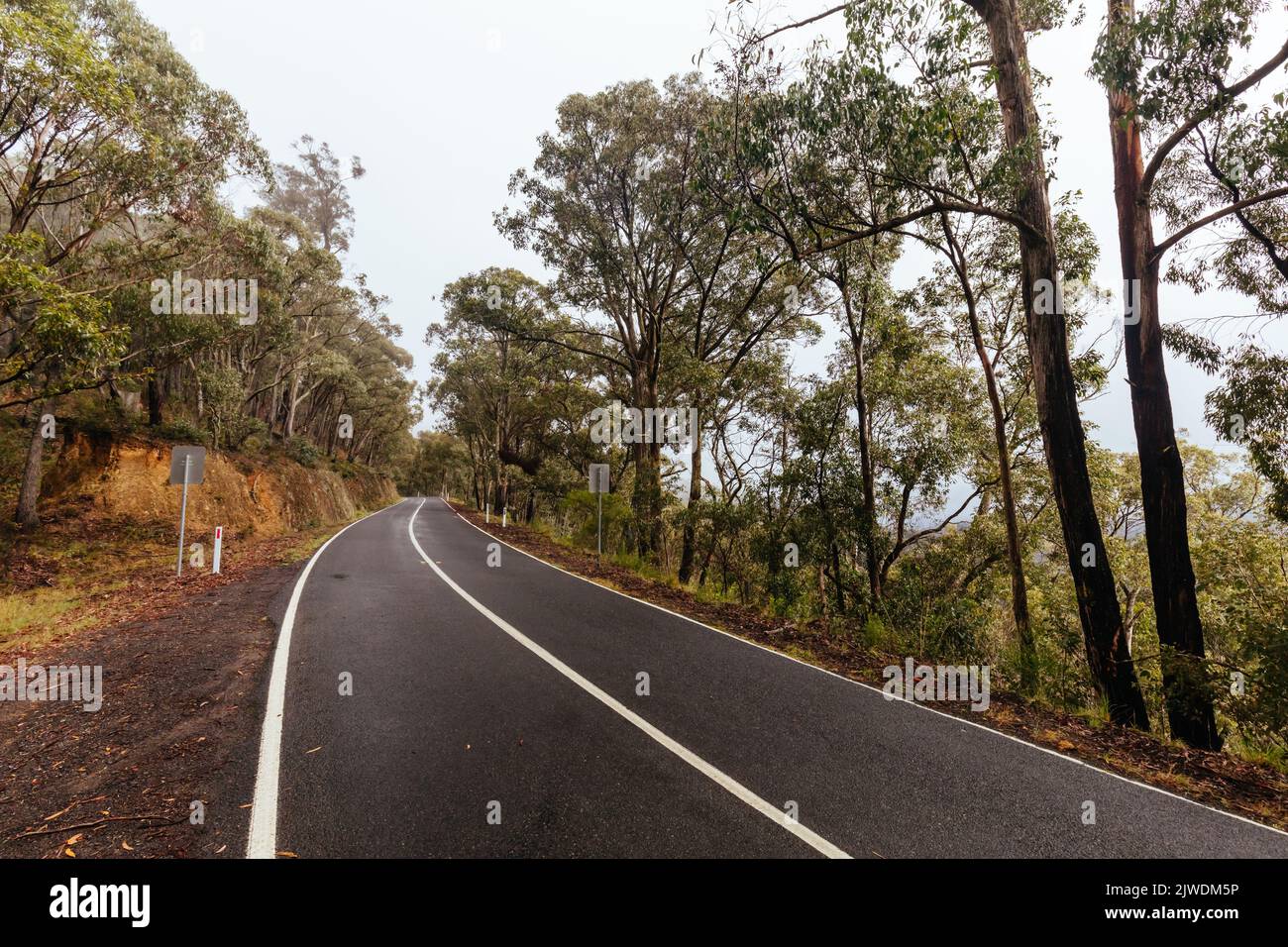 Woods point hi-res stock photography and images - Alamy