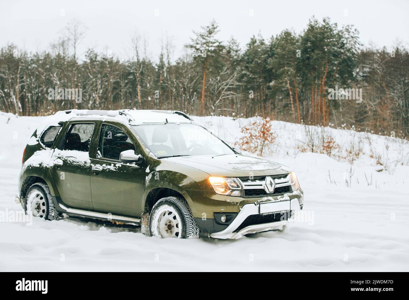 Renault Duster Suv In Winter Coniferous Forest. Compact Crossover ...
