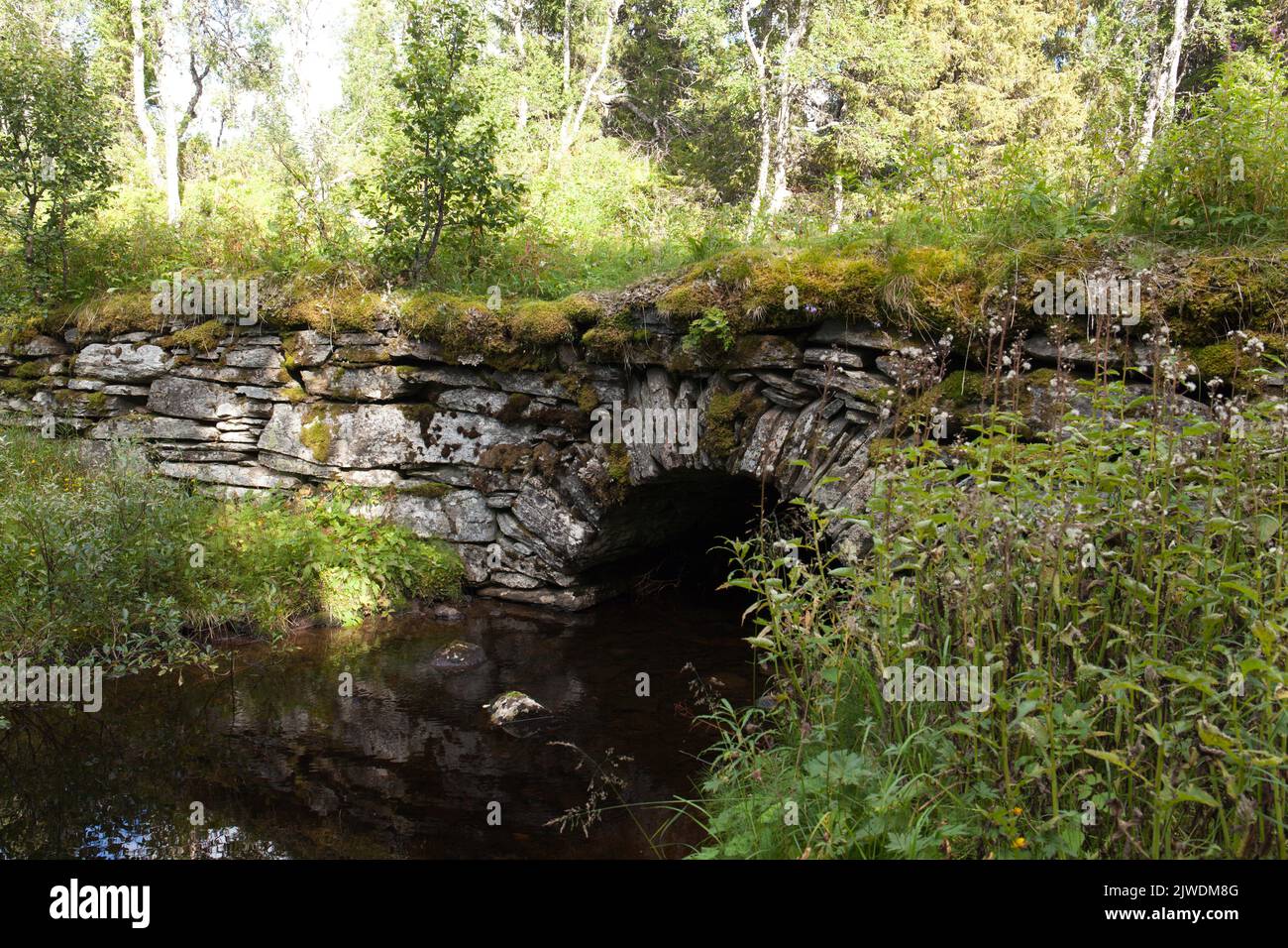 Stone arch bridge on the Pilgrim´s trail St. Olavsleden between Duved ...