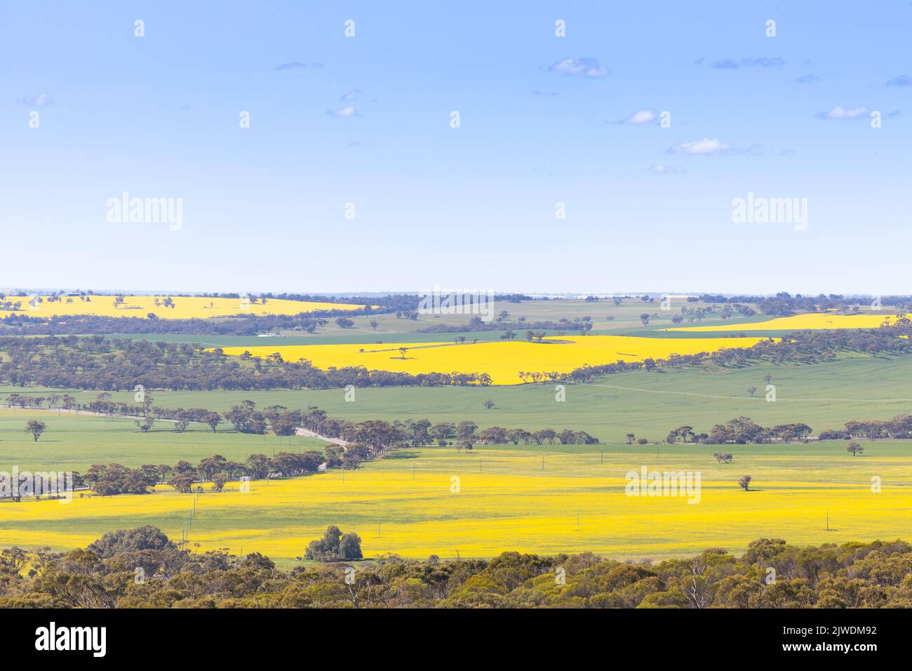 Aerial view canola fields canola hi-res stock photography and images ...