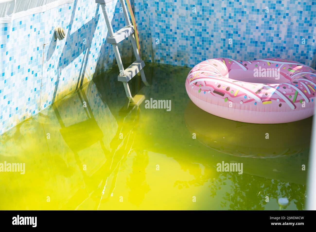 Back yard swimming pool behind modern single family home at pool ...