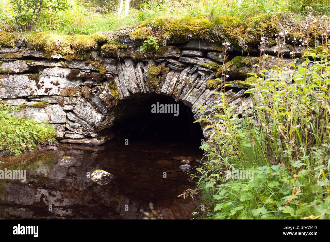 Stone arch bridge on the Pilgrim´s trail St. Olavsleden between Duved ...