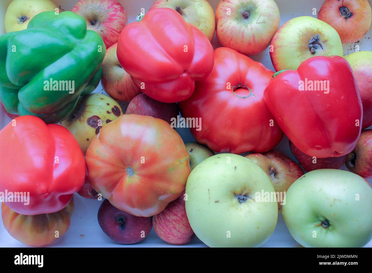 garden produce grown by me Stock Photo - Alamy