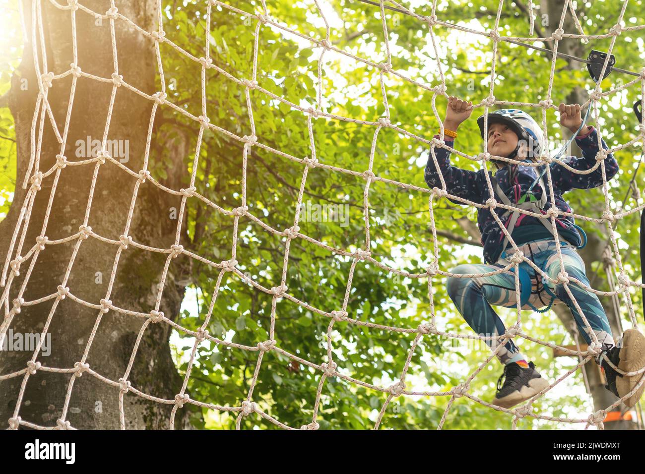 adventure climbing high wire park - children on course rope park ...
