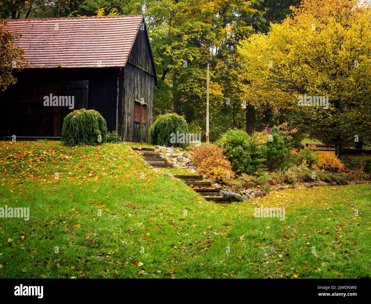 black wooden old hut on a backyard of a countryside farm in autumn ...