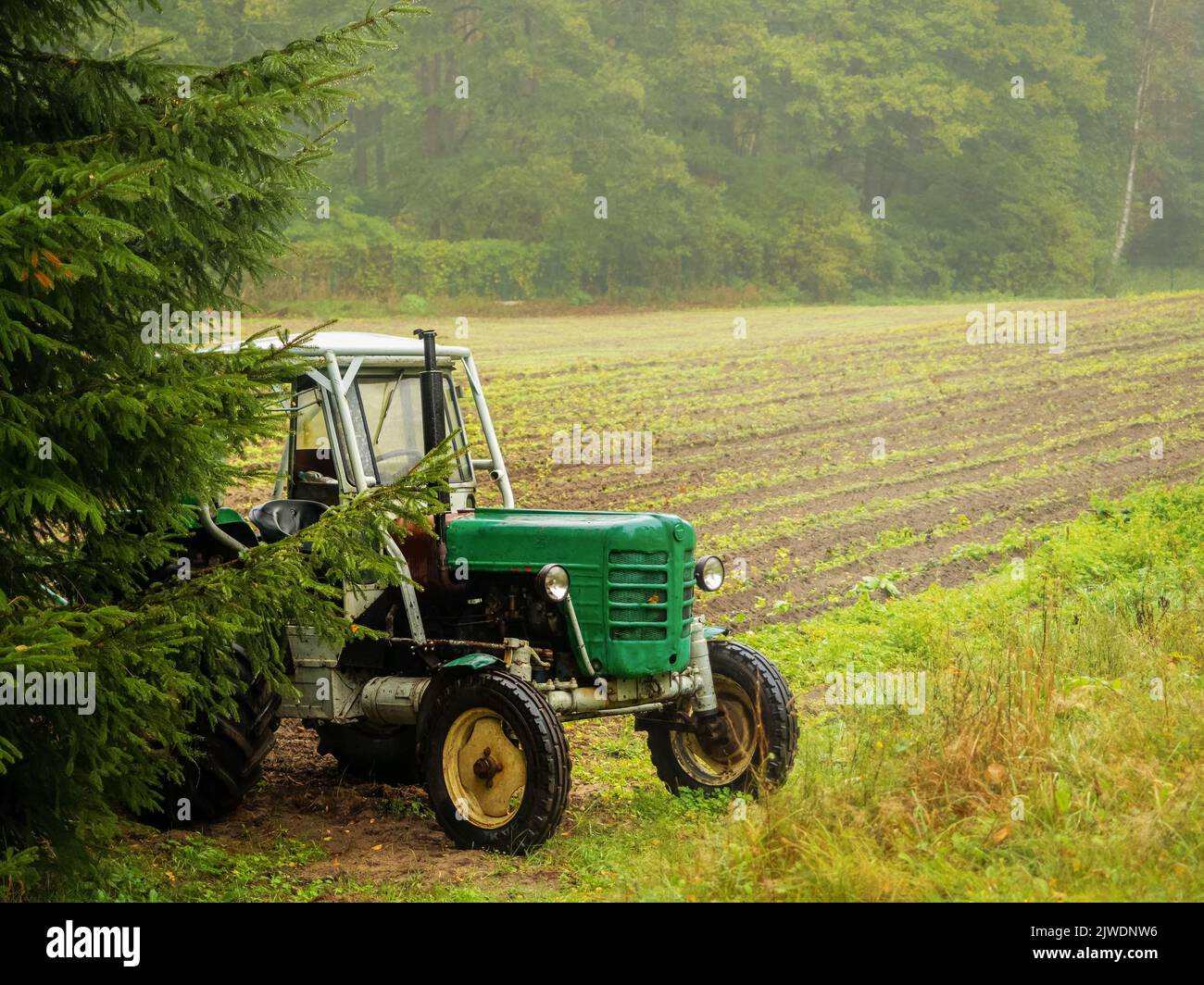 Misty agriculture farming hi-res stock photography and images - Alamy