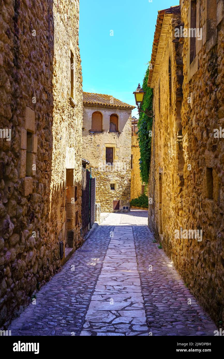 Narrow alley with stone houses and facades with vines in the medieval ...