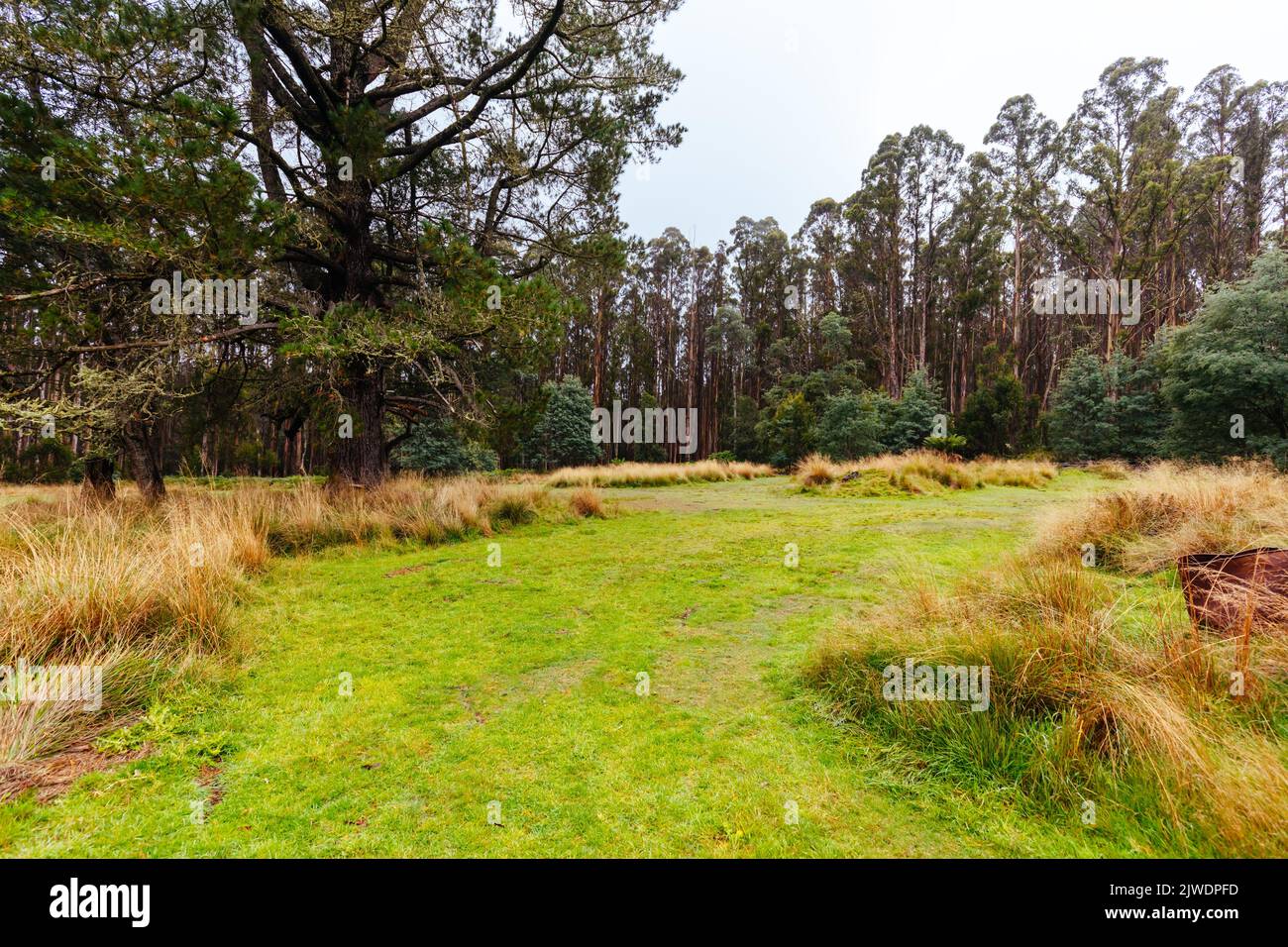 Reefton spur hi-res stock photography and images - Alamy