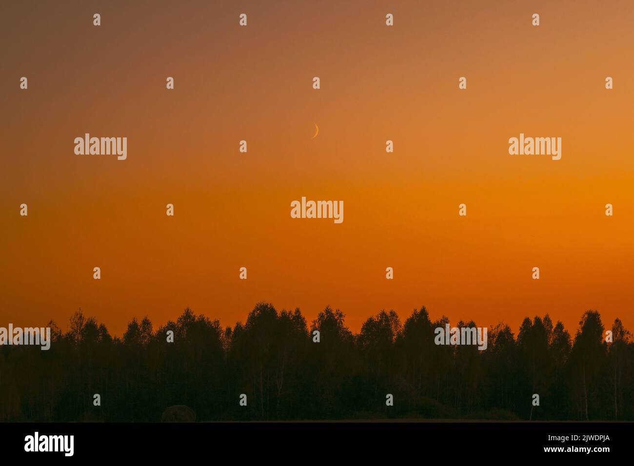 Sunset And Moon Rising Above Forest. Dramatic Sunset Background ...