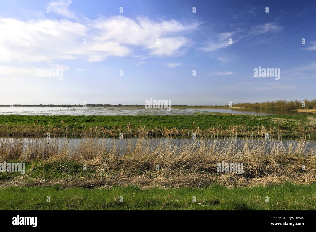 Manea fen hi-res stock photography and images - Alamy