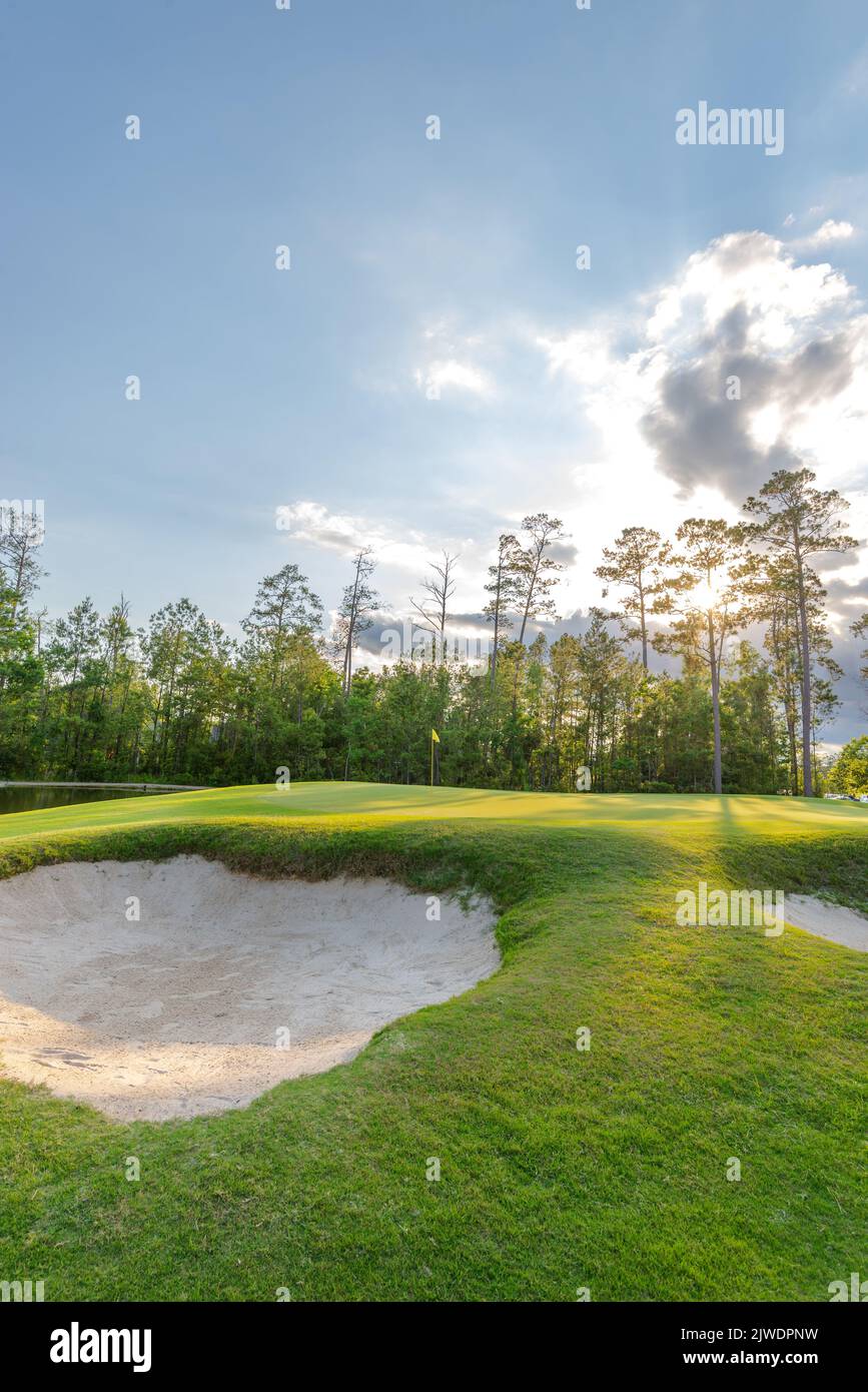 A vertical of a field with small lakes and a fountain with the forest ...