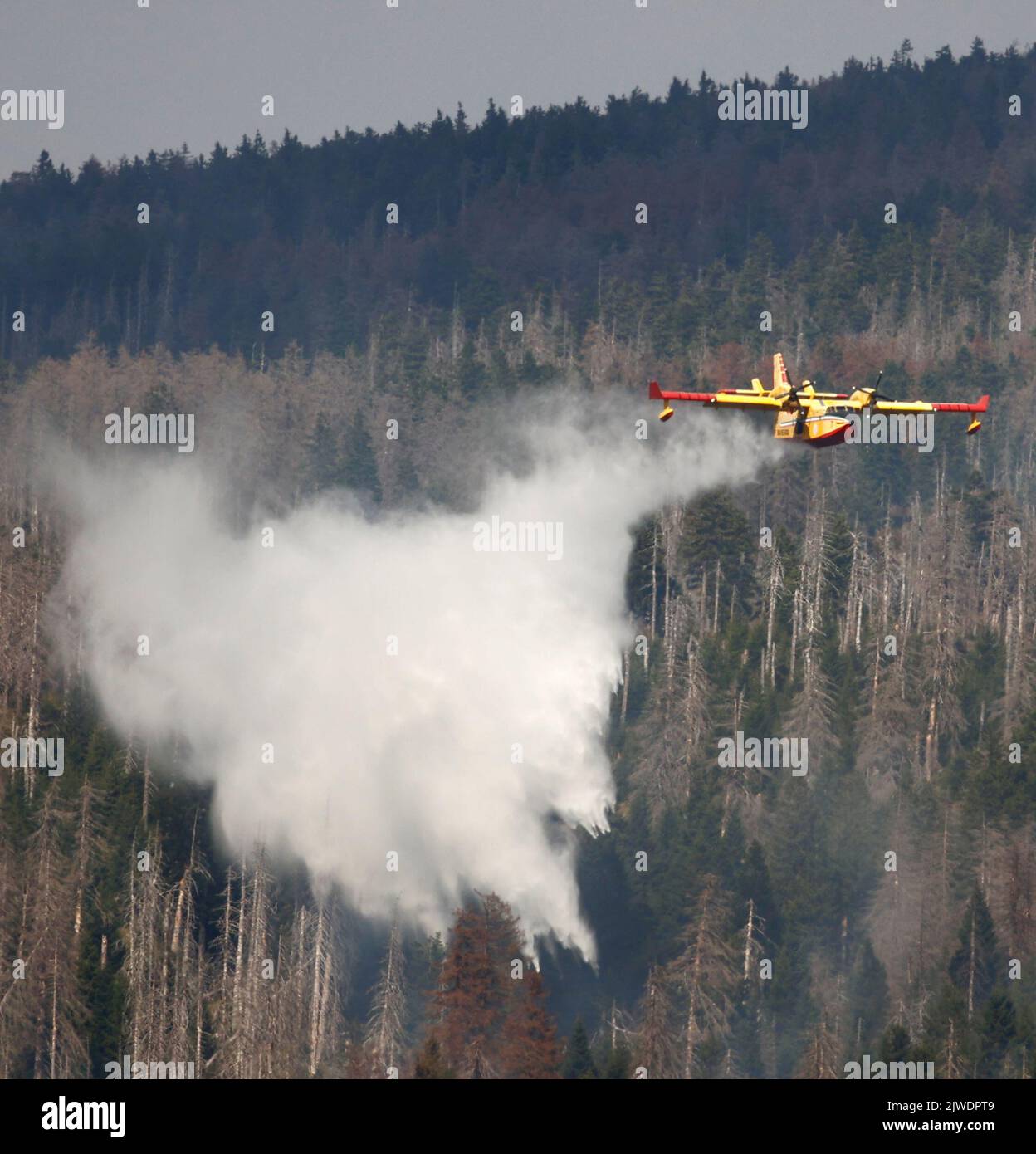 Braunlage, Germany. 05th Sep, 2022. A firefighting aircraft of the ...