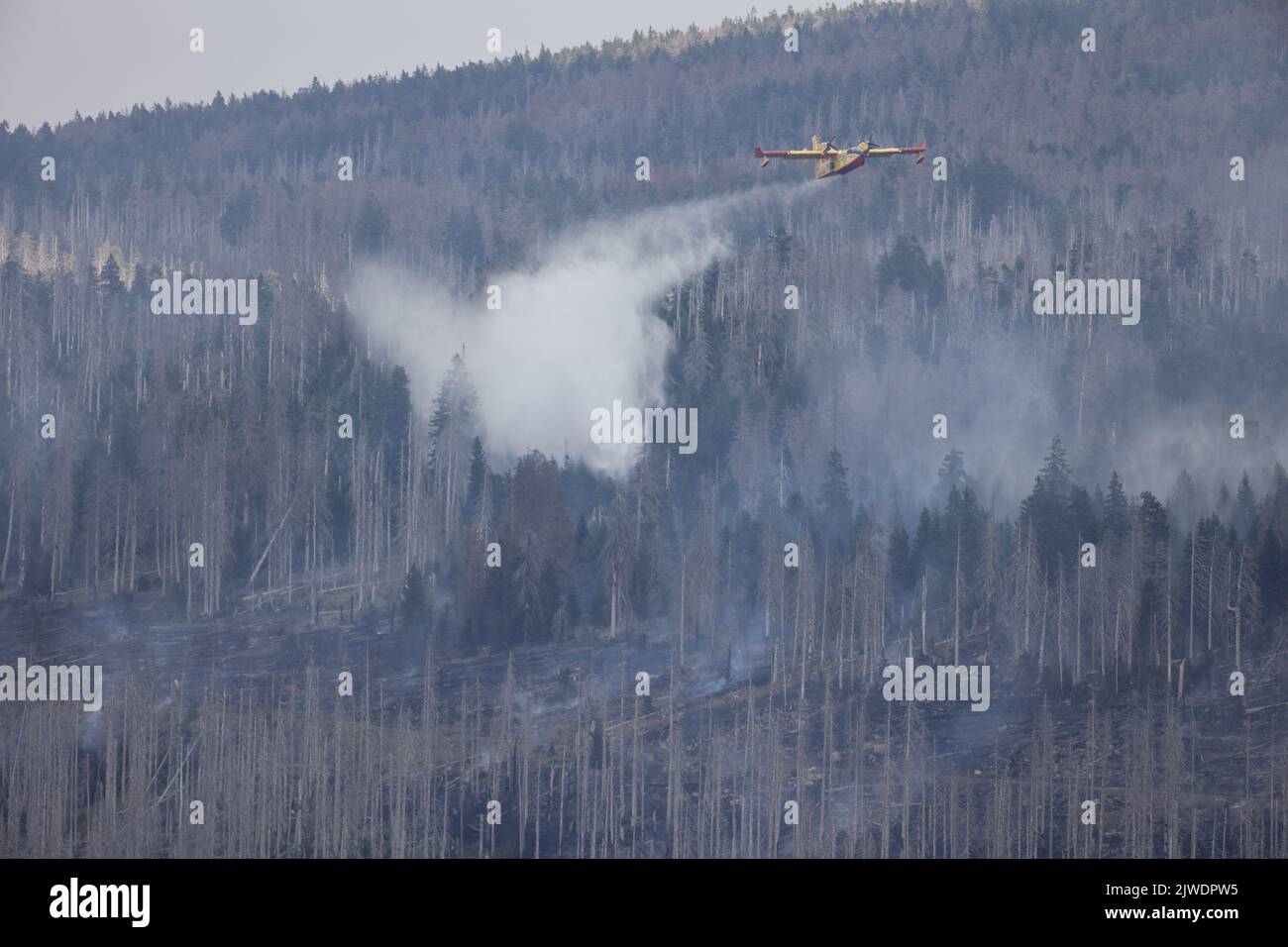Braunlage, Germany. 05th Sep, 2022. A firefighting aircraft of the ...