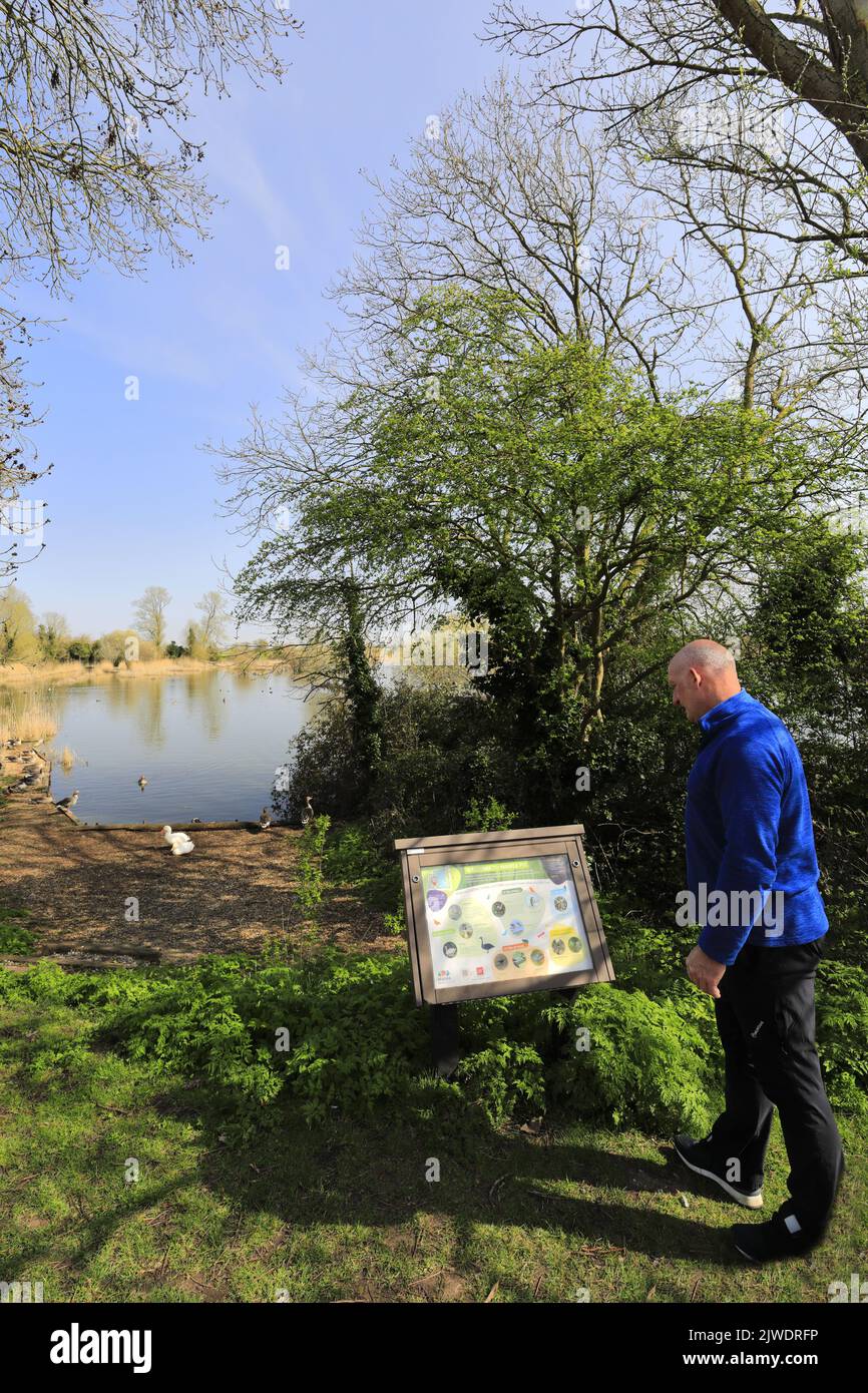 Summer view over Manea pit wildlife site, Manea town, Cambridgeshire ...