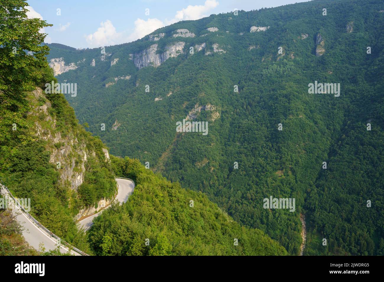 Pedescala hi-res stock photography and images - Alamy