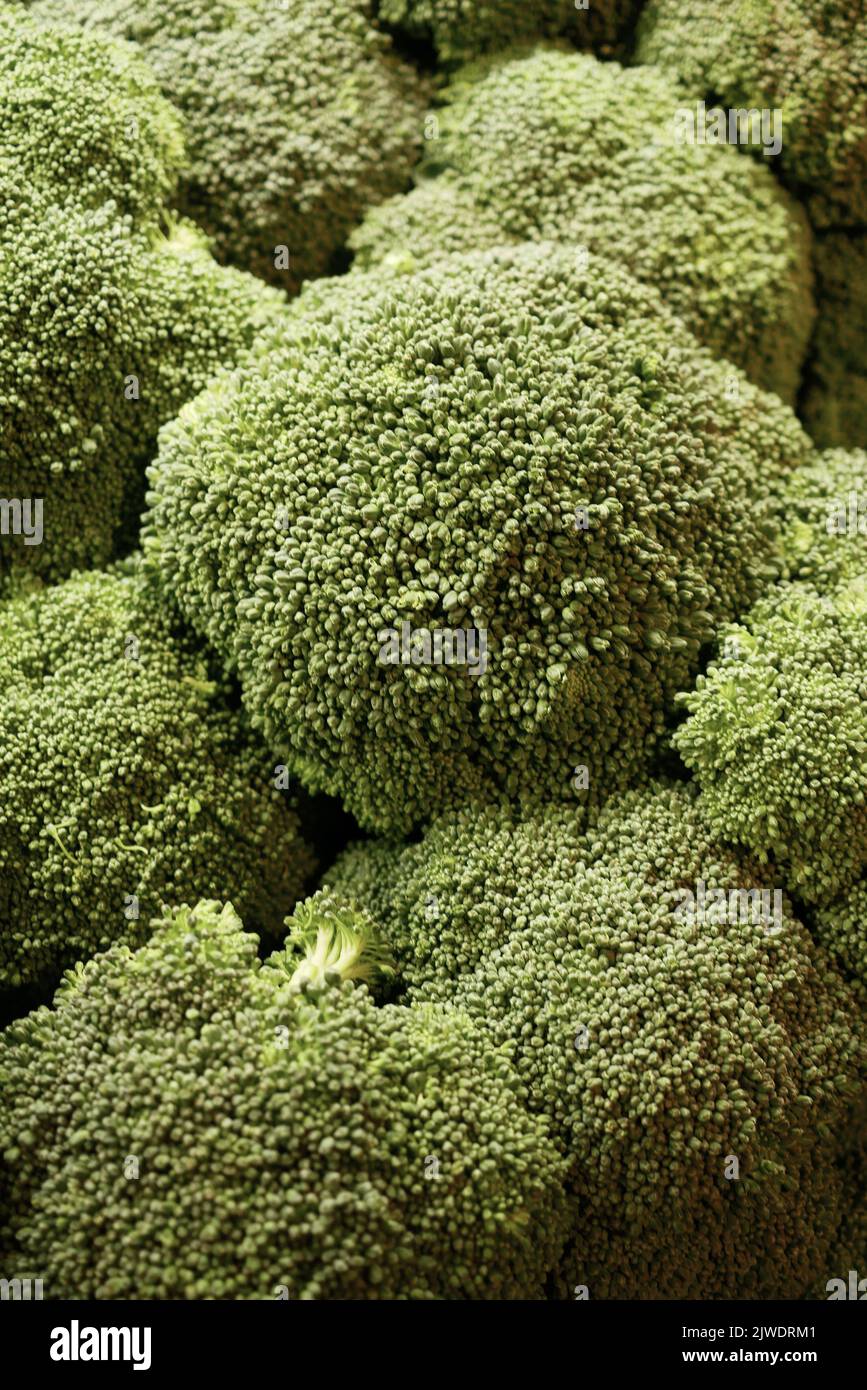 Fresh green broccoli display for sale at local store Stock Photo - Alamy