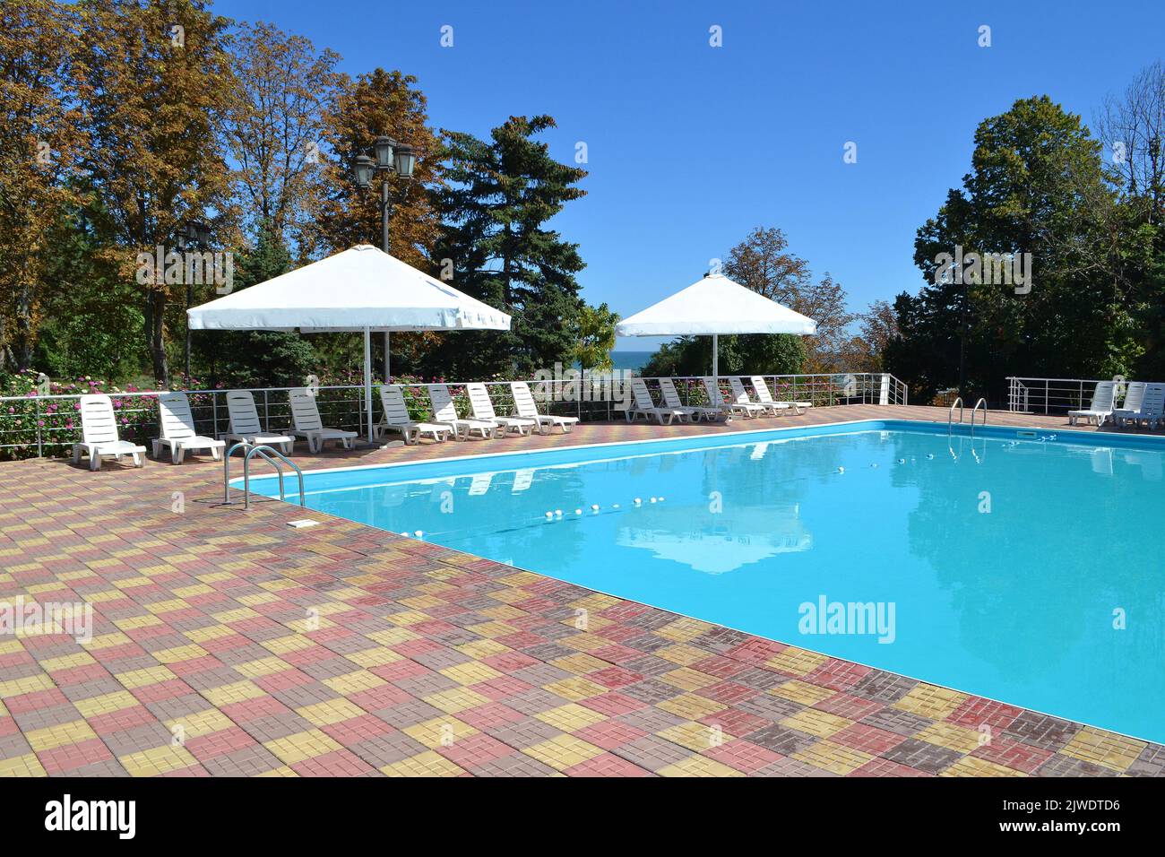 Poolside. Sunbeds near swimming pool surrounded by pine trees Stock ...
