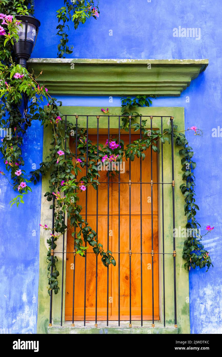 Colonial architecture, Oaxaca de Juarez, Mexico Stock Photo - Alamy