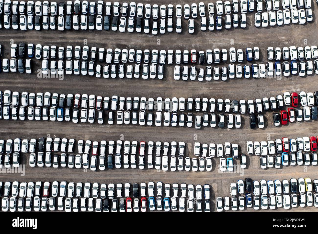 Cars for export on a port hi-res stock photography and images - Alamy