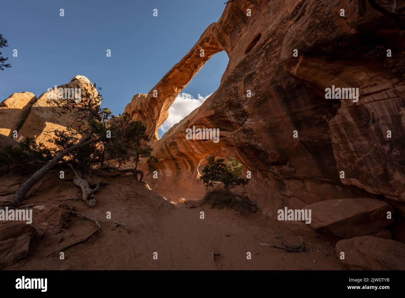 Shining through the arches hi-res stock photography and images - Alamy