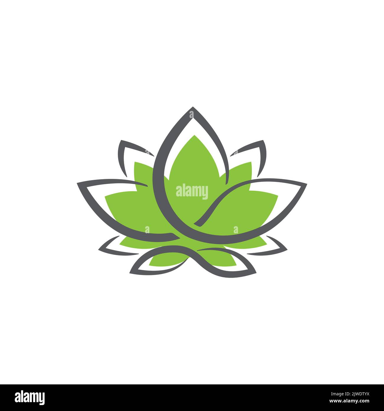 Linear Lotus Logo Templates Vector Floral Linear Lotus Logo Design