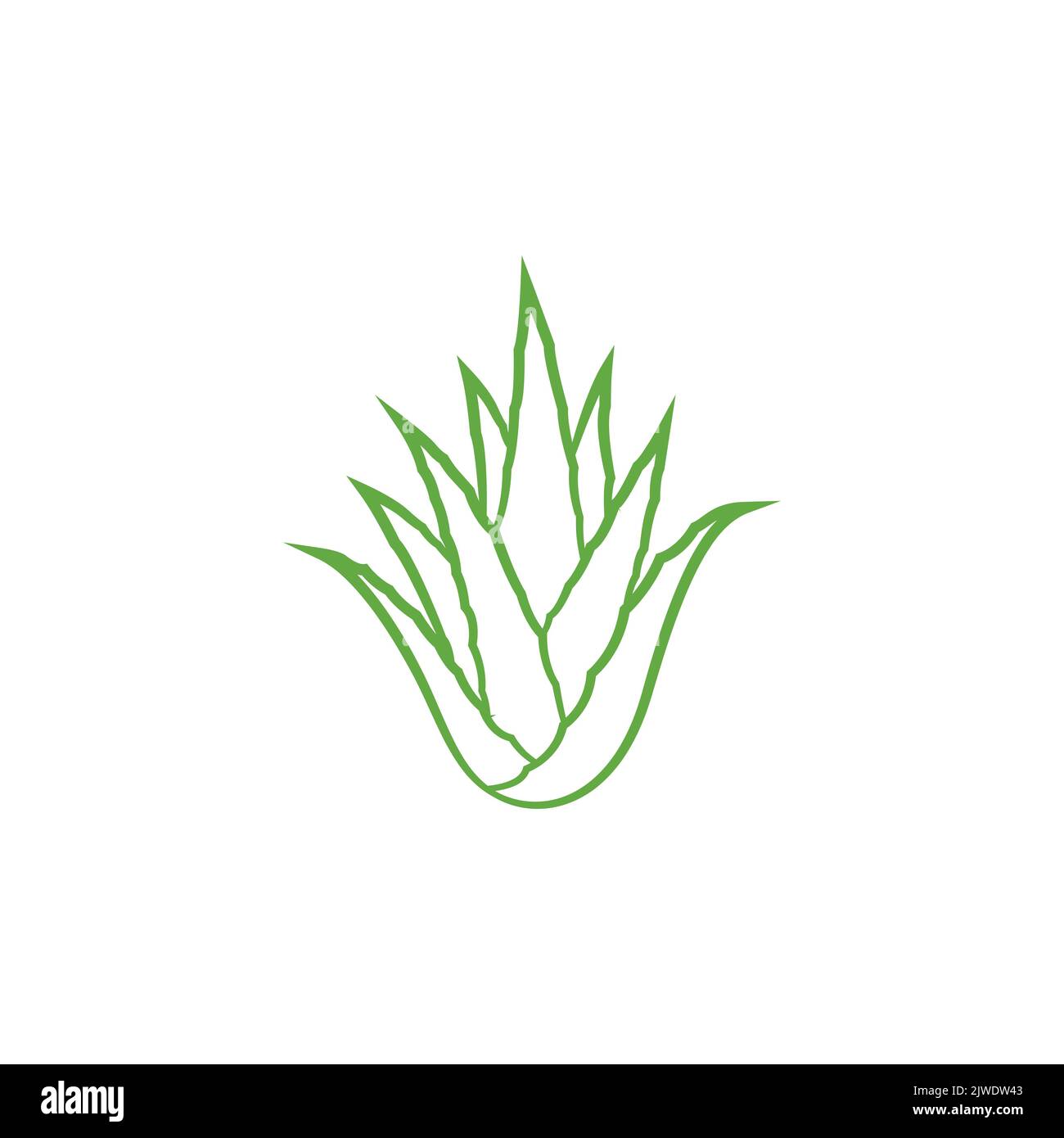 Green aloe vera plant icon design. Aloe vera leaf icon. Aloe vera plant ... Green aloe vera plant icon design. Aloe vera leaf icon. Aloe vera plant ...