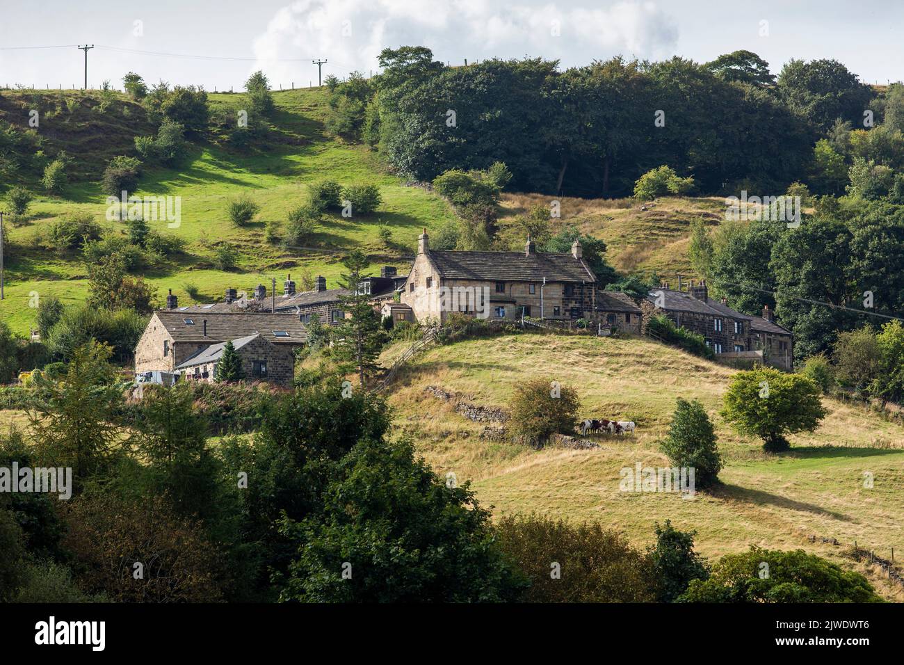 Todmorden is at the confluence of three steep-sided Pennine valleys and ...