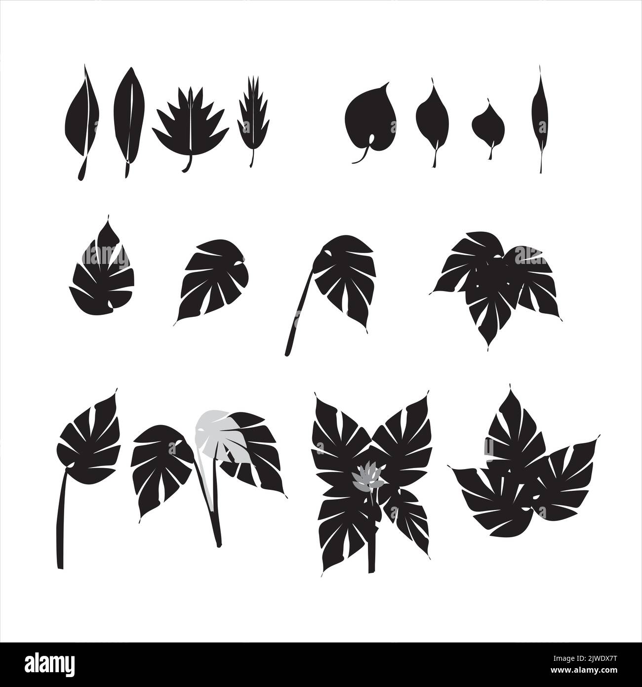 Leaf drawing vector illustration for design elements Stock Vector Image ...
