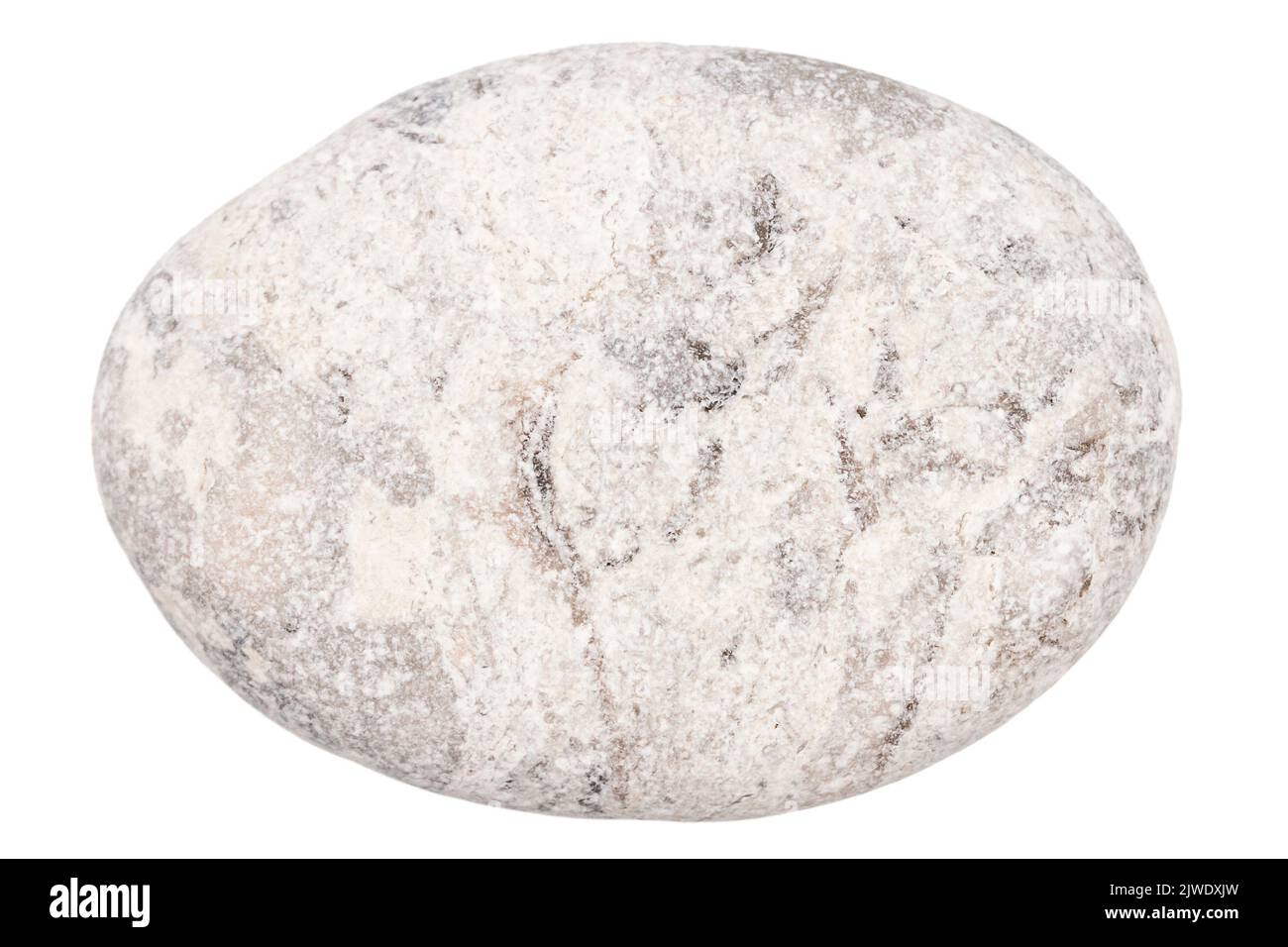 Top view of single gray pebble isolated on white background Stock Photo ...