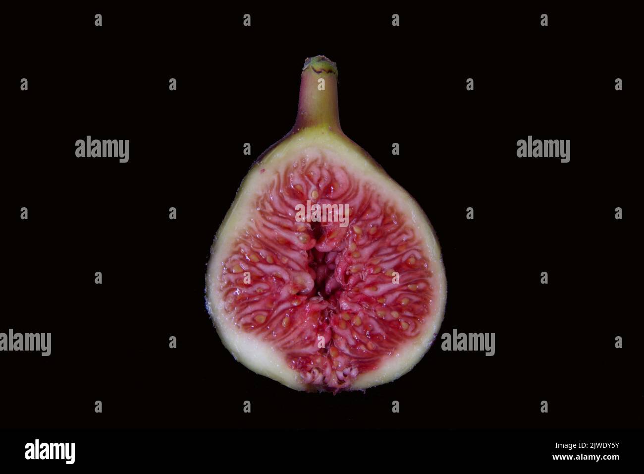 Inside a fig hi-res stock photography and images - Alamy